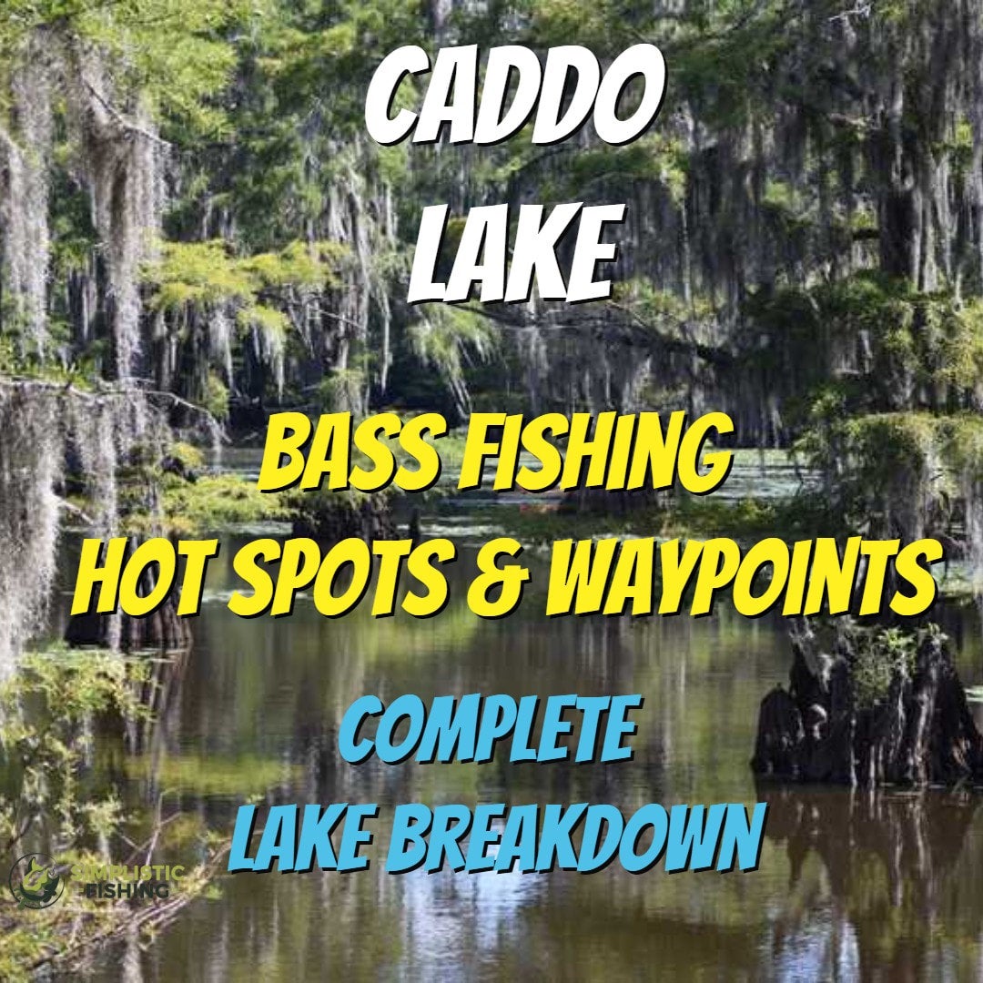 Caddo Lake - Fishing Spots | Simplistic Fishing