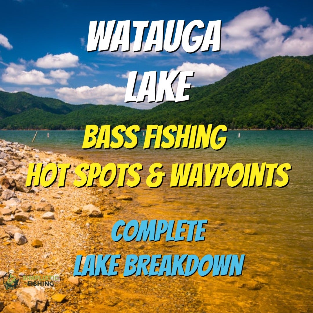 Stunning Watauga Lake Fishing Images