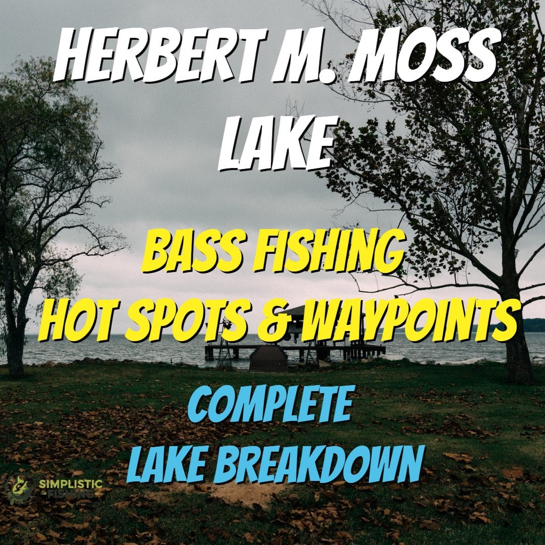 Lake Daniel - Lake Breakdown and Fishing Hot Spots! | Simplistic Fishing